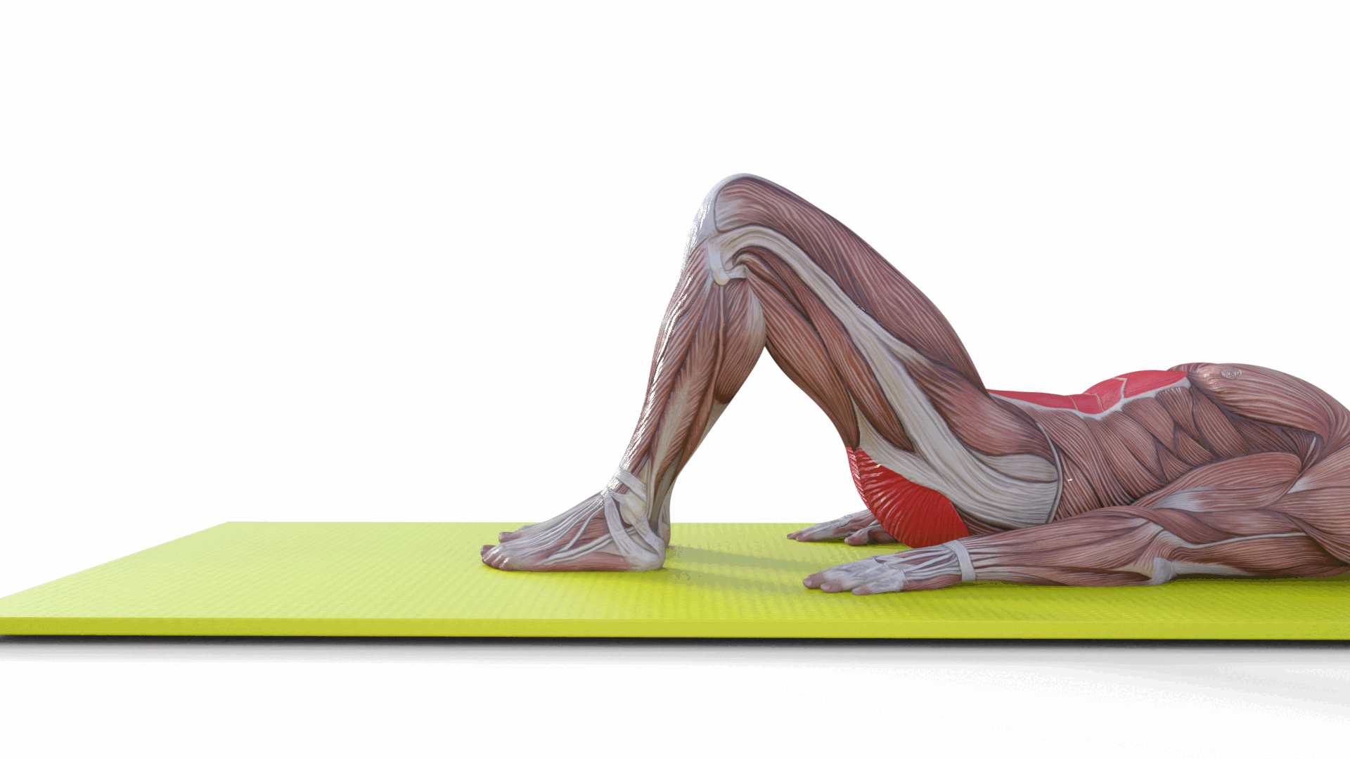 Why You Should Do Supine Pelvic Tilts Everyday